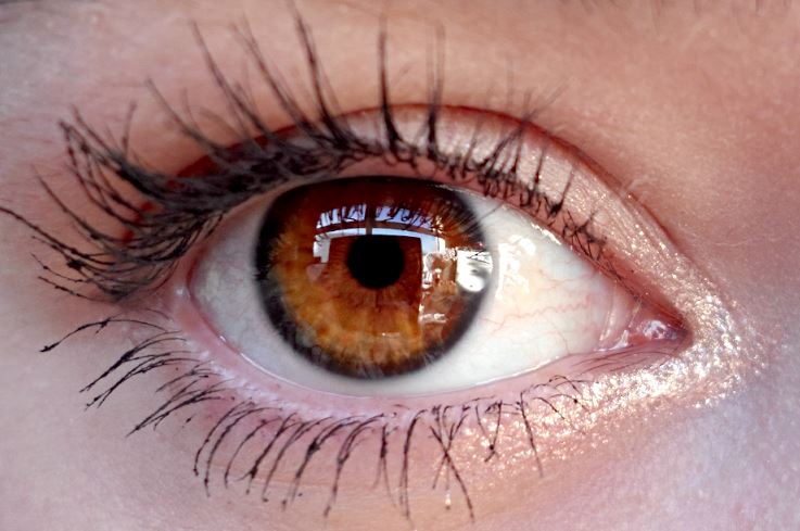 In the Twinkling of an Eye | Ernie's Musings